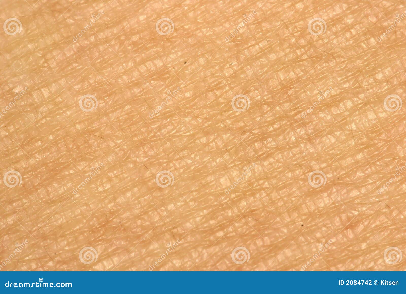 Skin close-up stock photo. Image of macro, cellular, pattern - 2084742