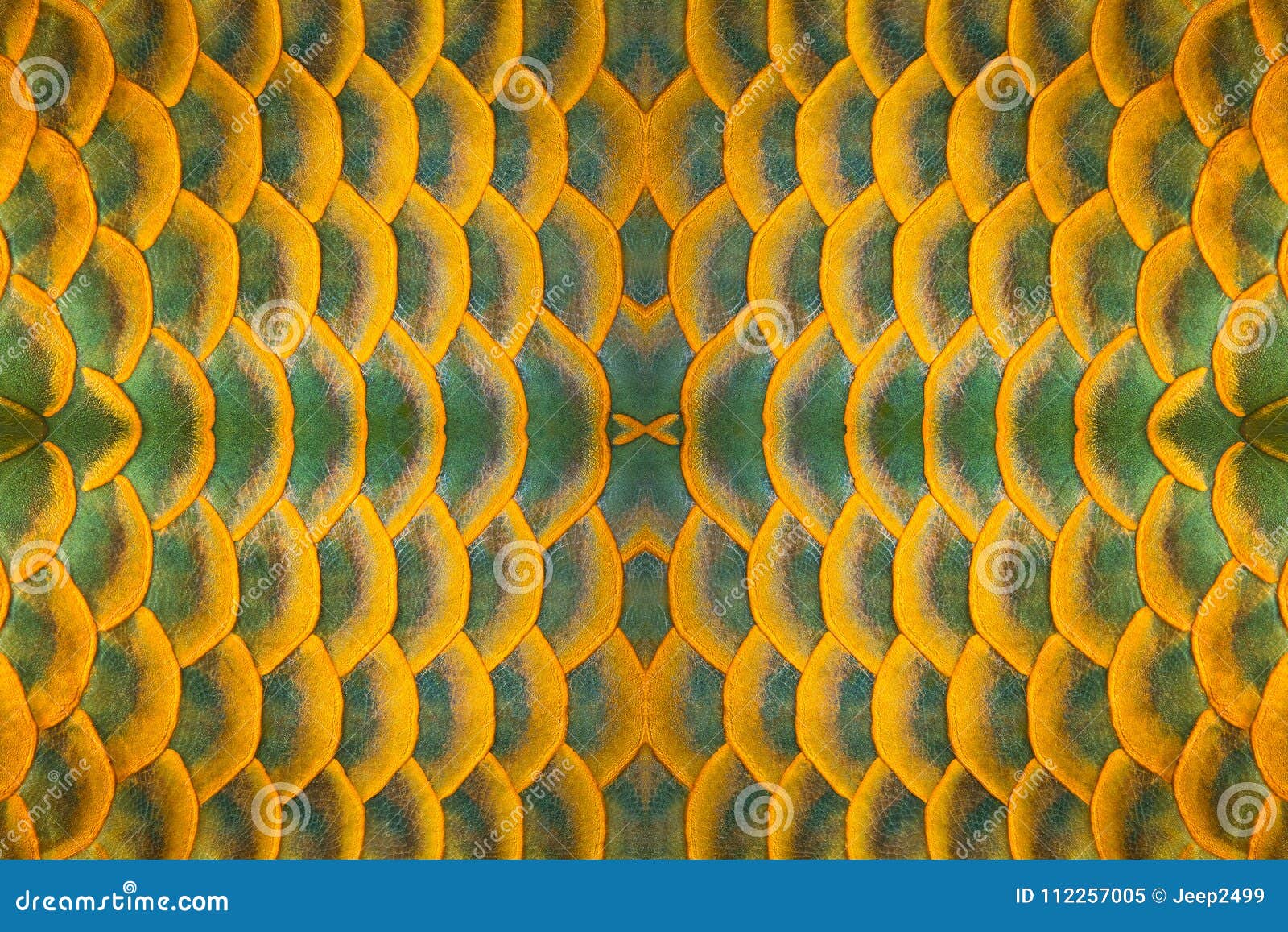 1,019 Color Fish Skin Pattern Stock Photos - Free & Royalty-Free Stock ...