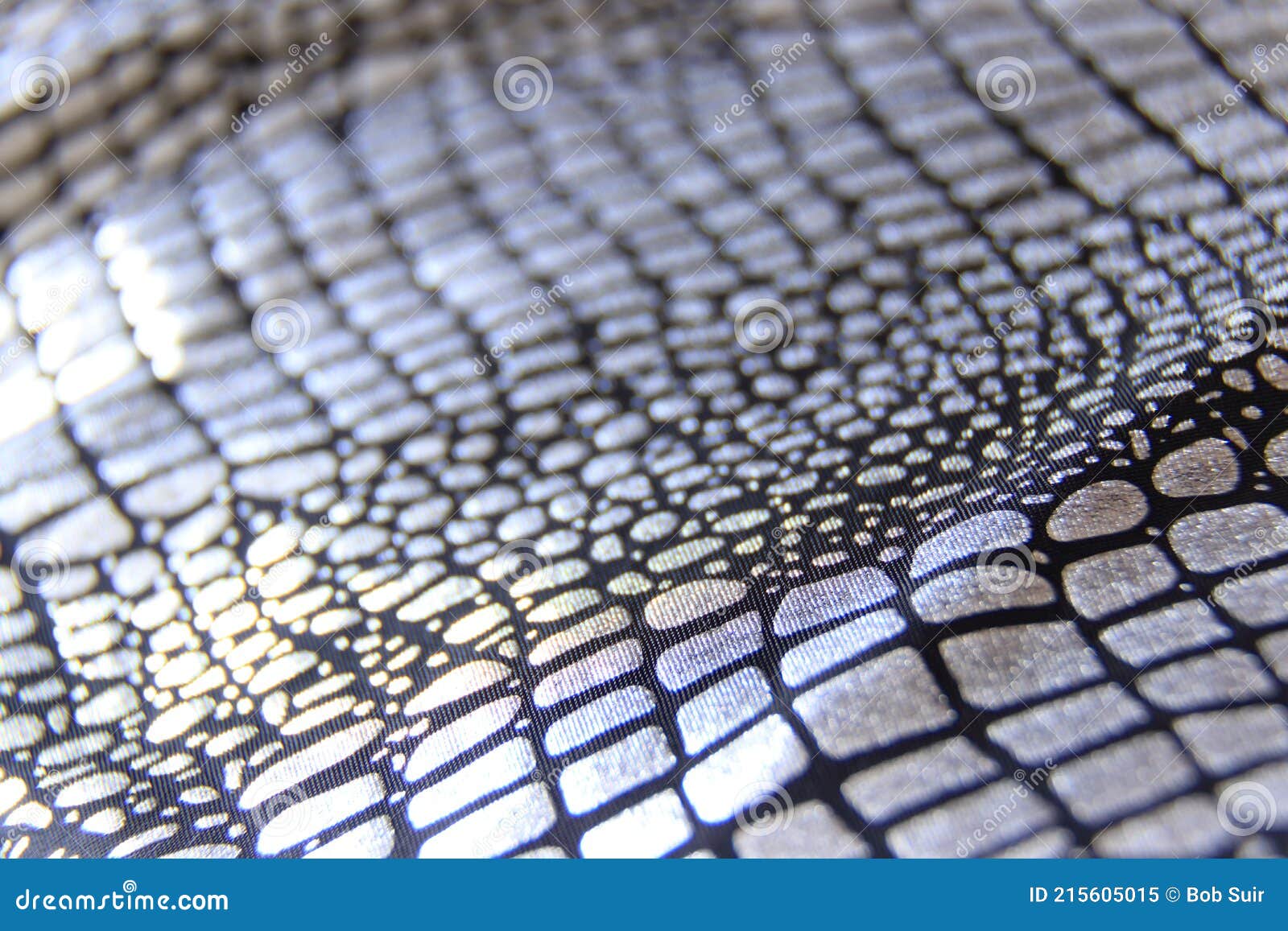 Skin of Crocodile Texture Pattern for Background Stock Image - Image of ...