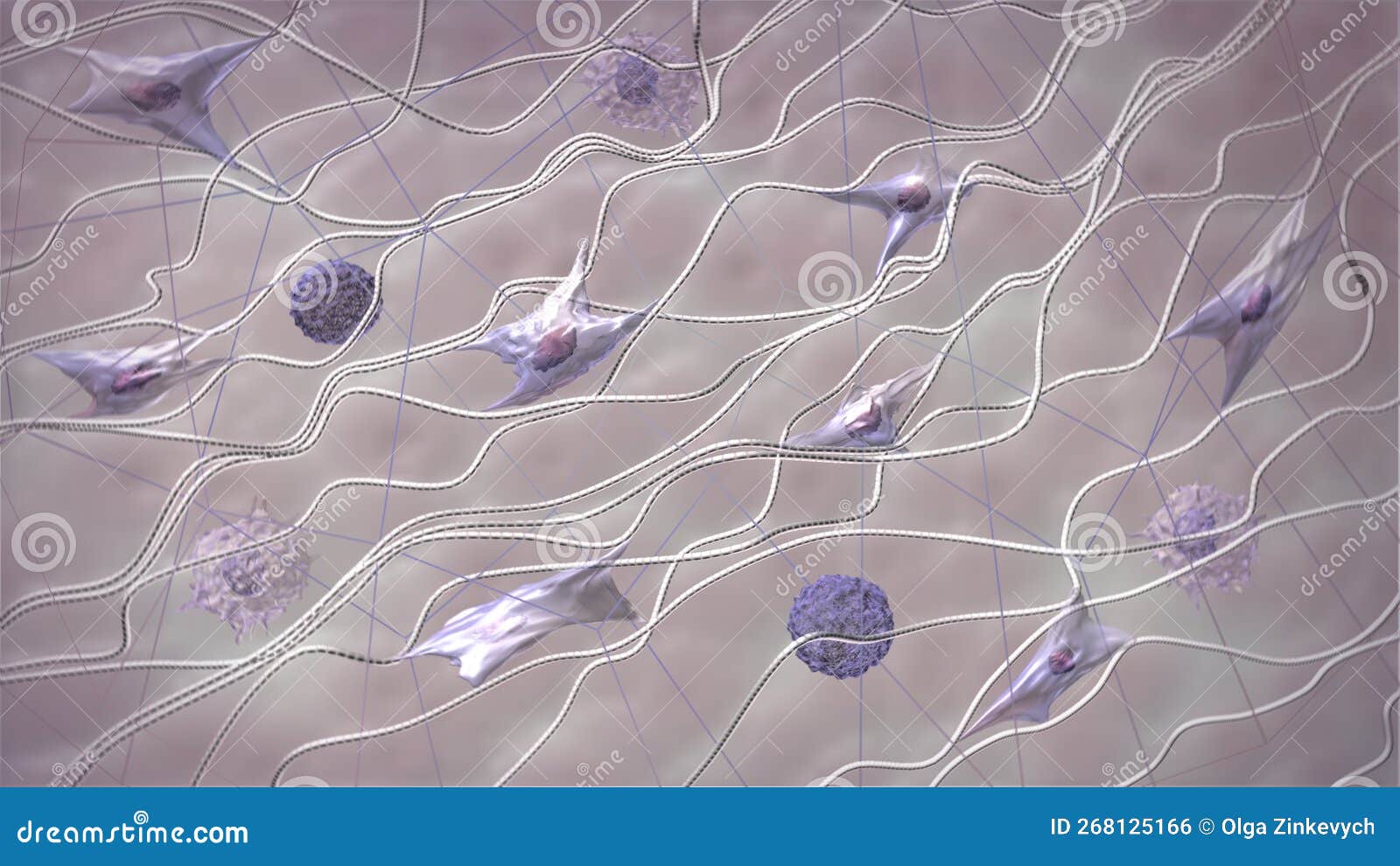 Skin Extracellular Matrix Structure 3d Rendered Illustration Stock ... Skin Extracellular Matrix Structure 3d Rendered Illustration Stock ...
