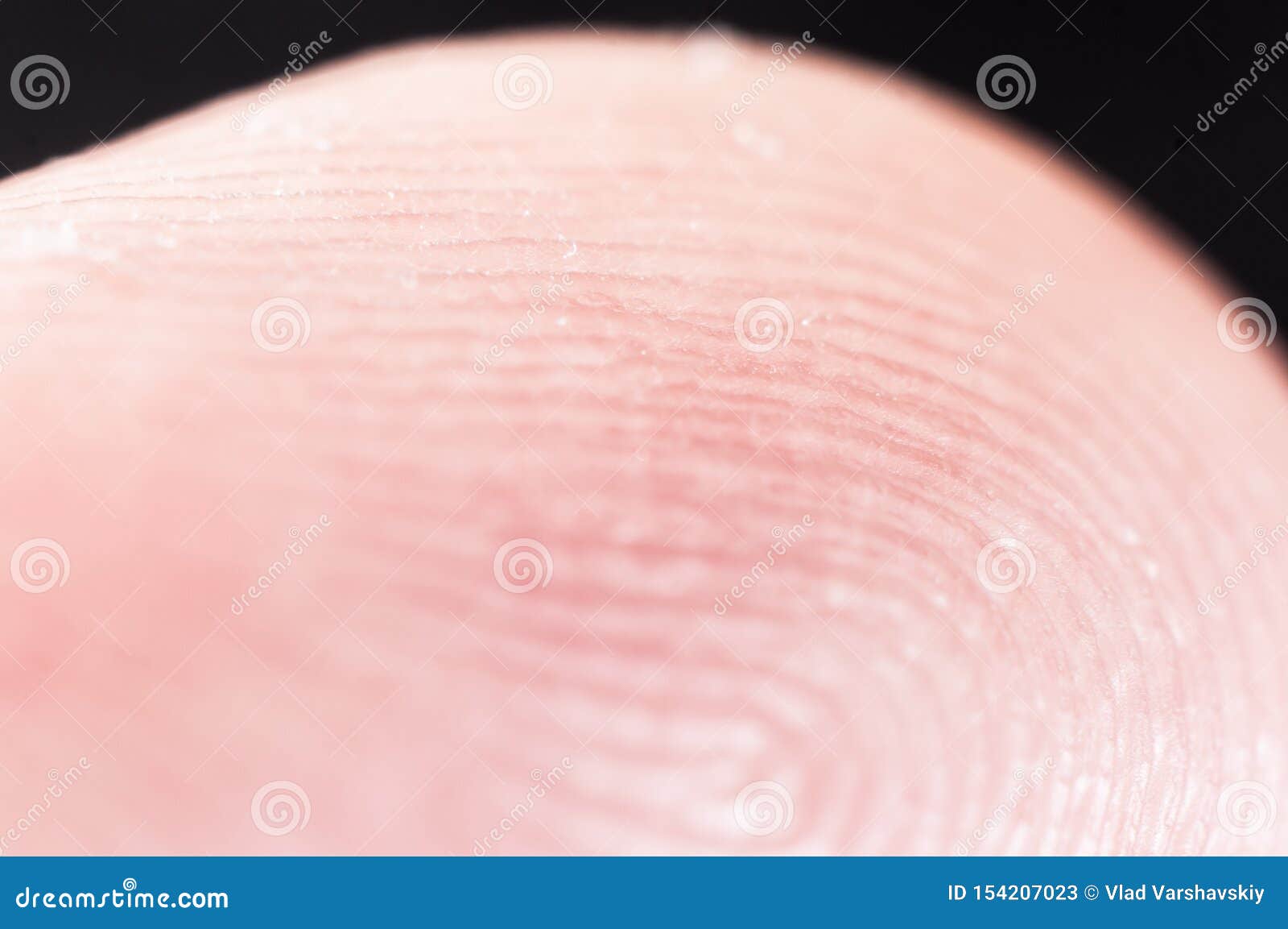 The Skin of a Finger on a Human Hand Close-up, Macro Stock Image ...