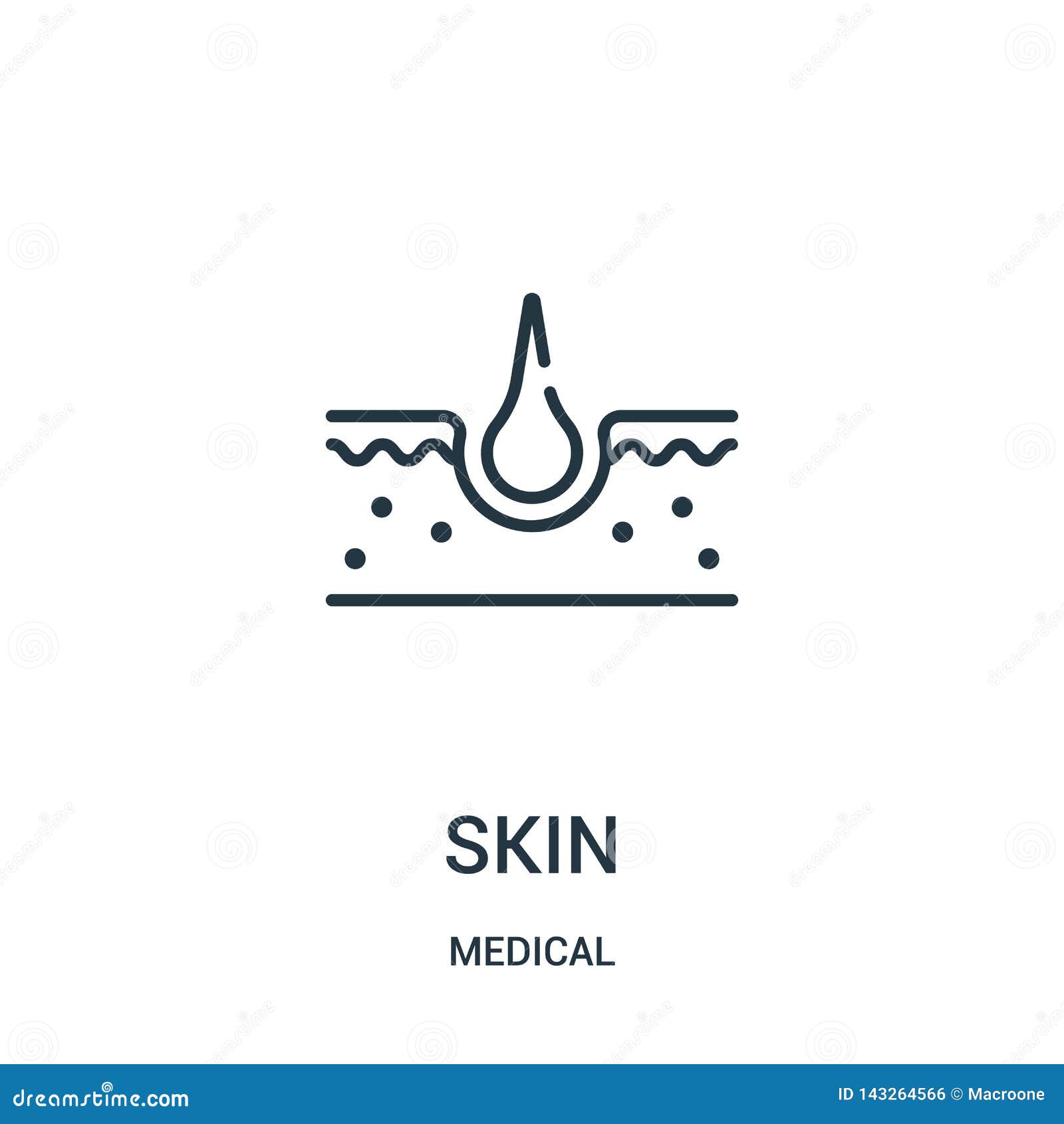 Skin Icon Vector From Medical Collection Thin Line Skin Outline Icon