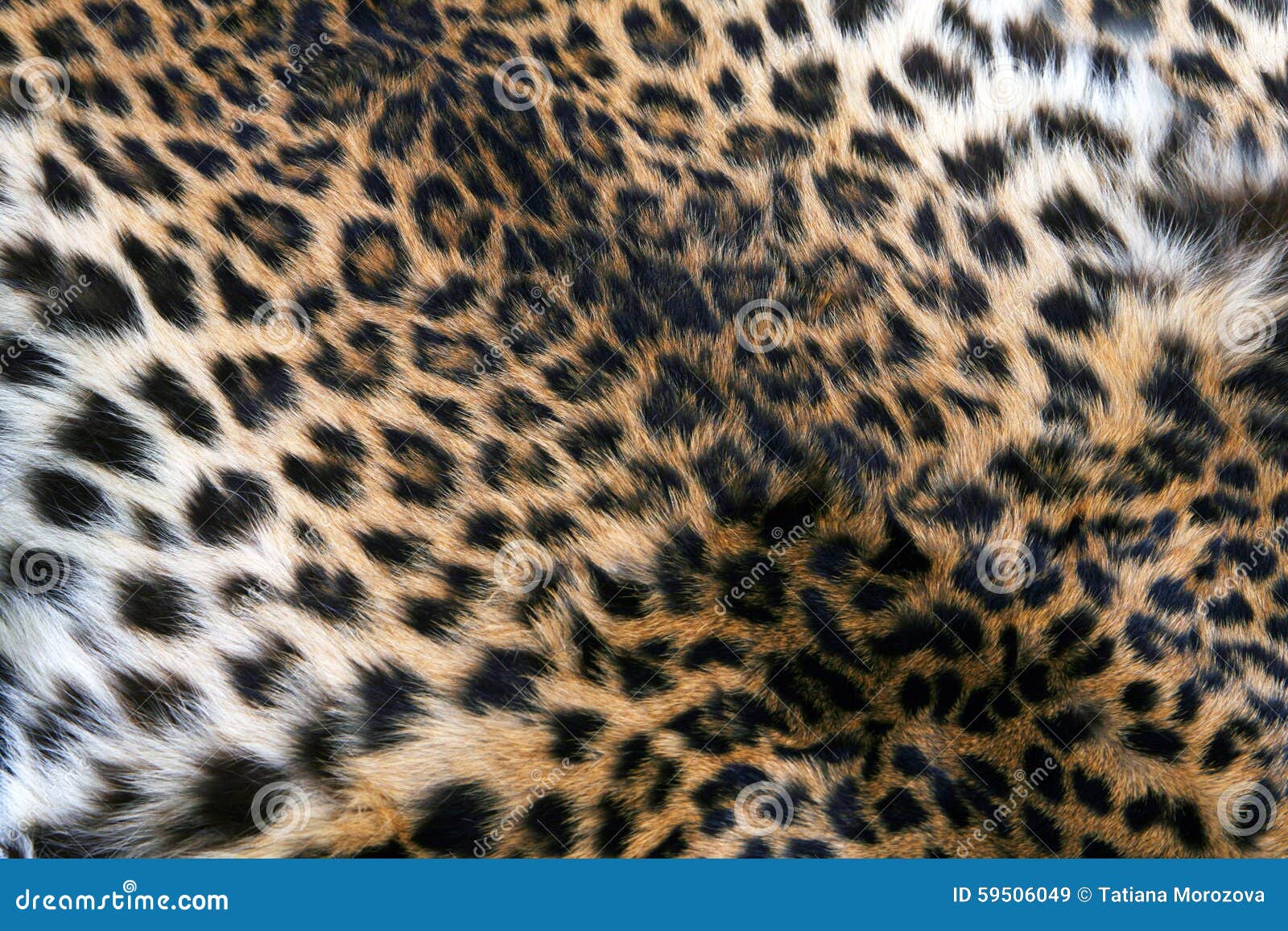 Leopard Skin Pelt