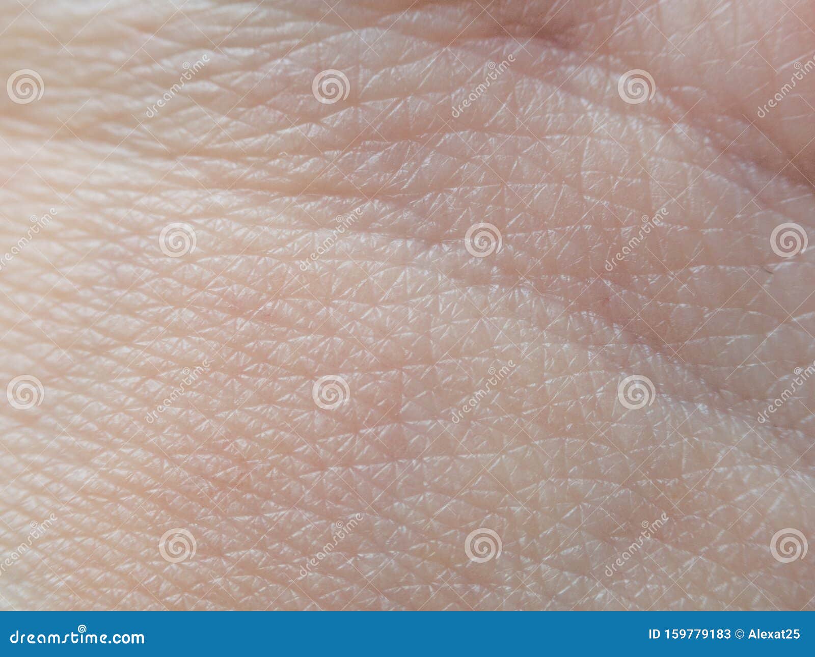 Skin macro texture stock image. Image of closeup, abstract - 159779183