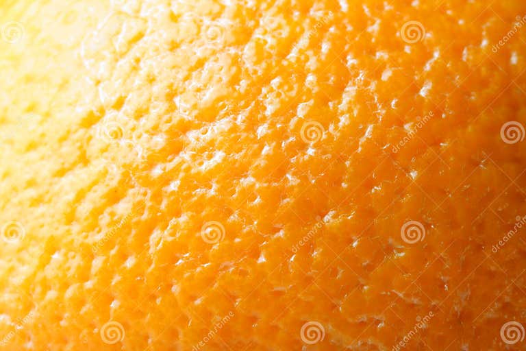 Skin of orange stock photo. Image of fruit, juicy, ripe - 5105450