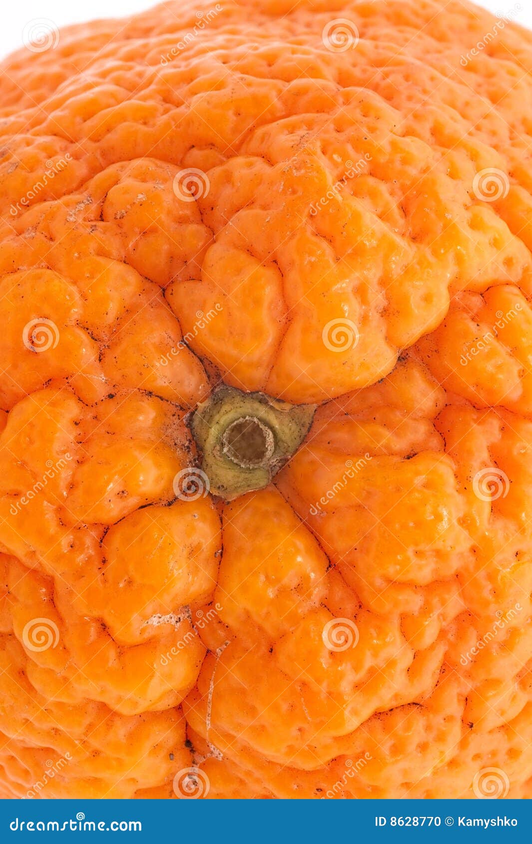 Skin of orange. Close-up stock photo. Image of tasty, fruit - 8628770