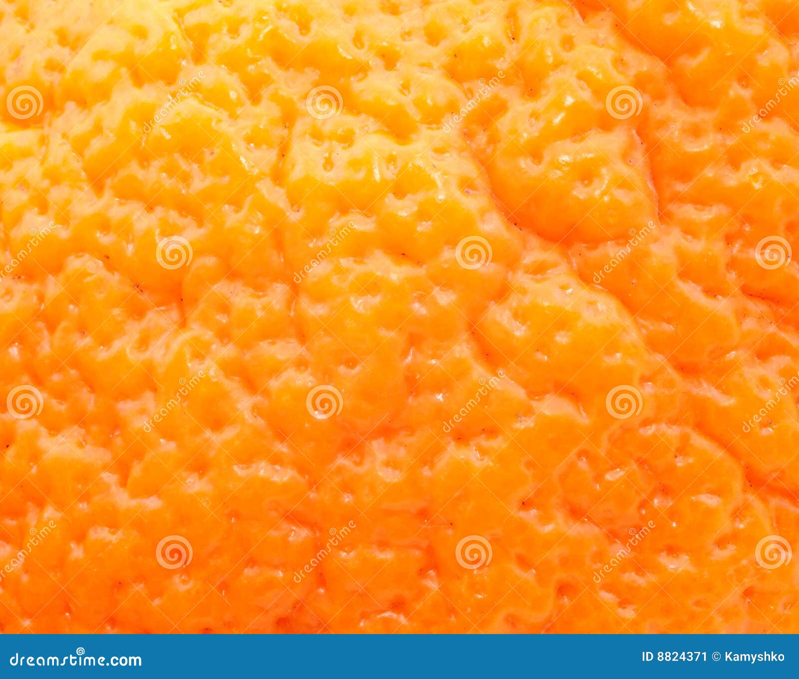 Skin of orange. Close-up stock image. Image of citrus - 8824371