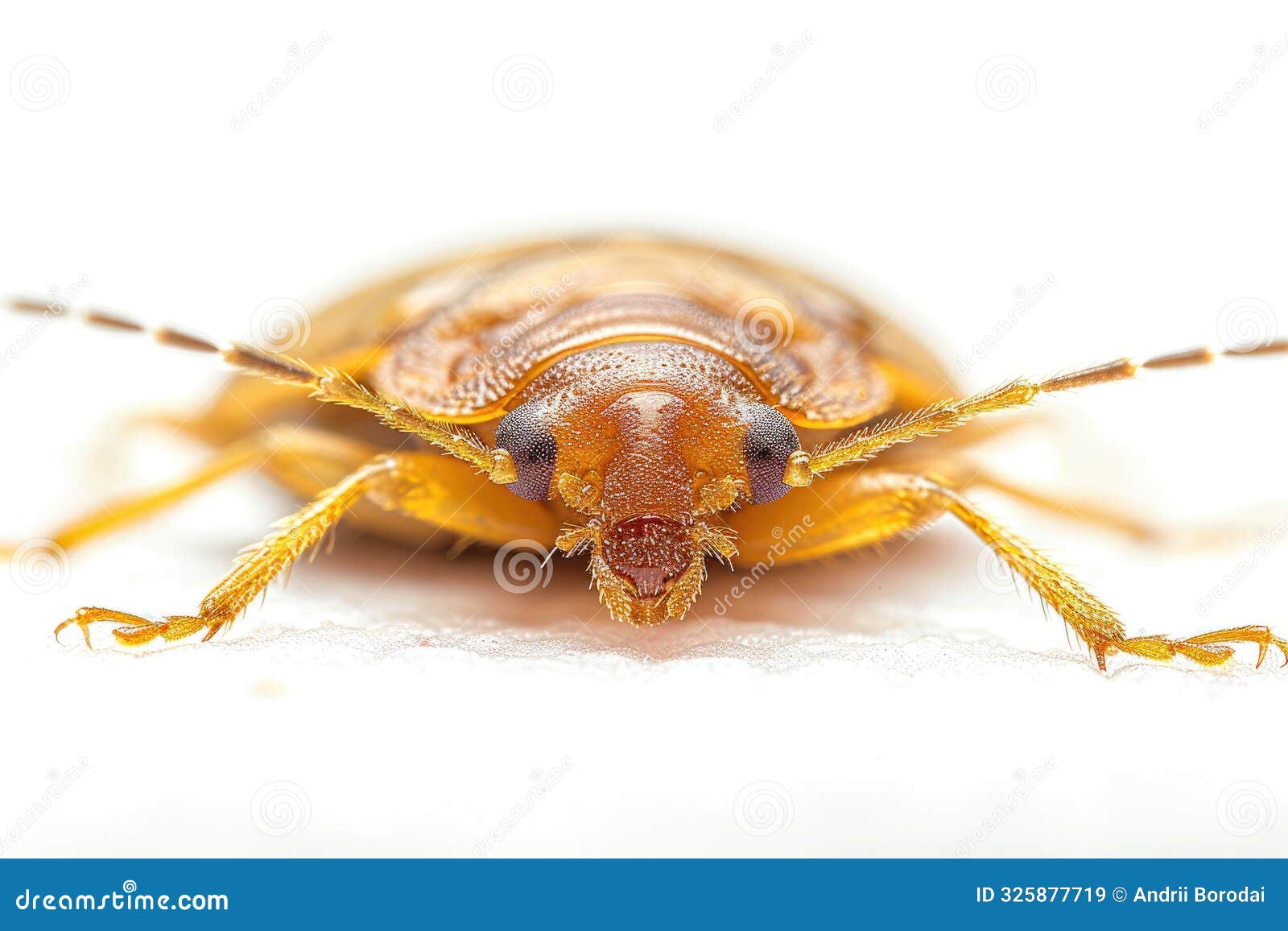 Skin Rash. Symptom Of Dermatitis, Allergies, Psoriasis, Eczema. Icons ...