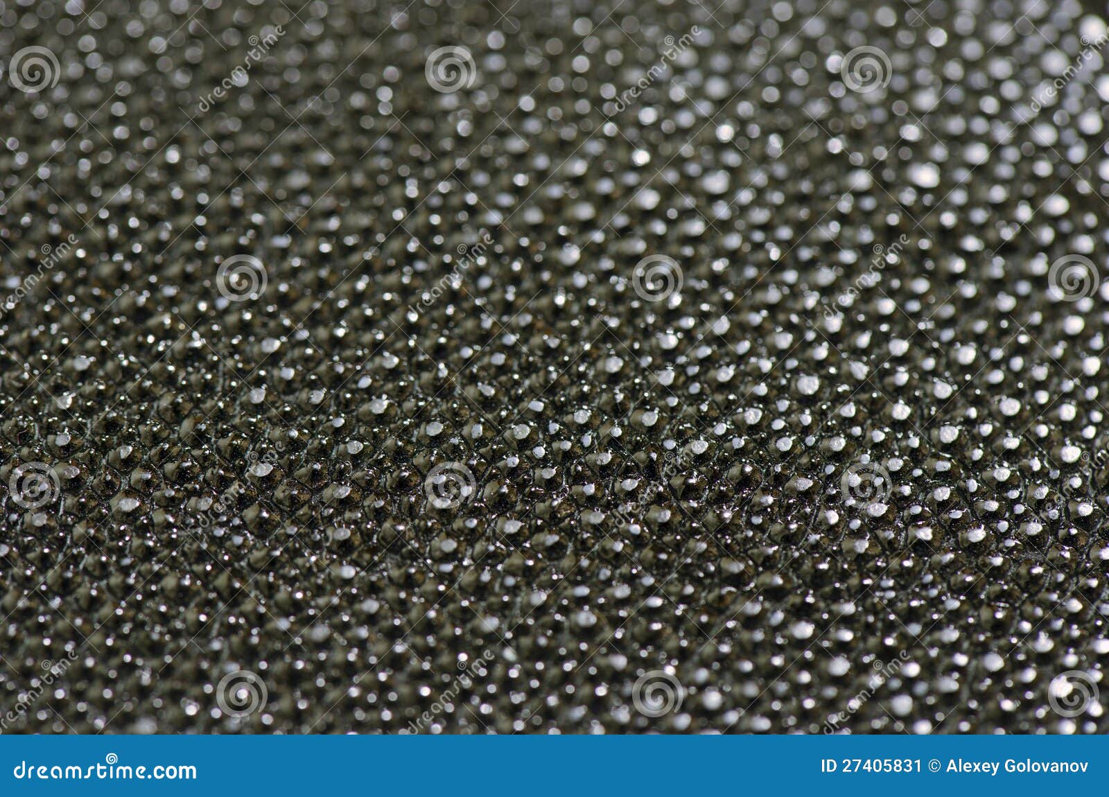 Texture of Genuine Stingray Leather Stock Image - Image of form ...