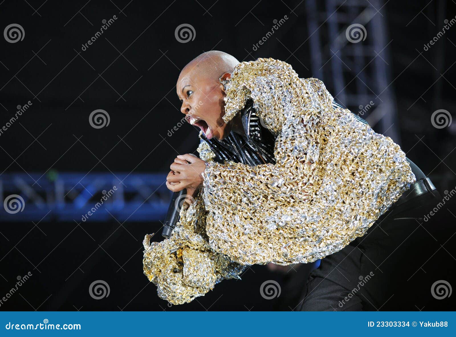 Skin of Skunk Anansie editorial stock image. Image of live - 23303334