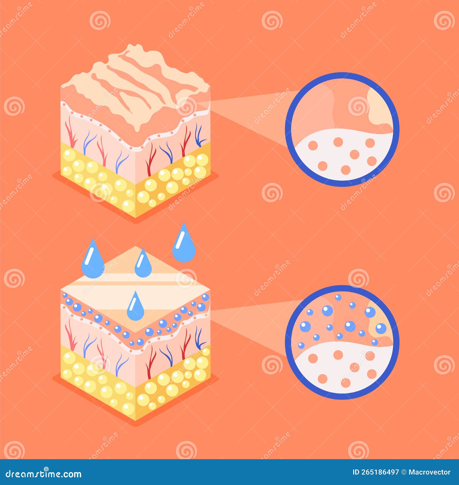 Skin Structure Cubes Composition Stock Illustration - Illustration of ...