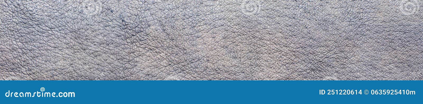 Skin surface texture stock photo. Image of diet, fashion - 251220614