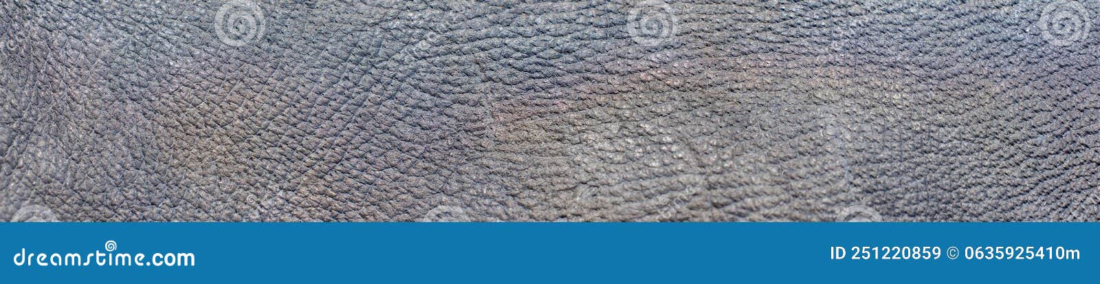 Skin surface texture stock image. Image of background - 251220859