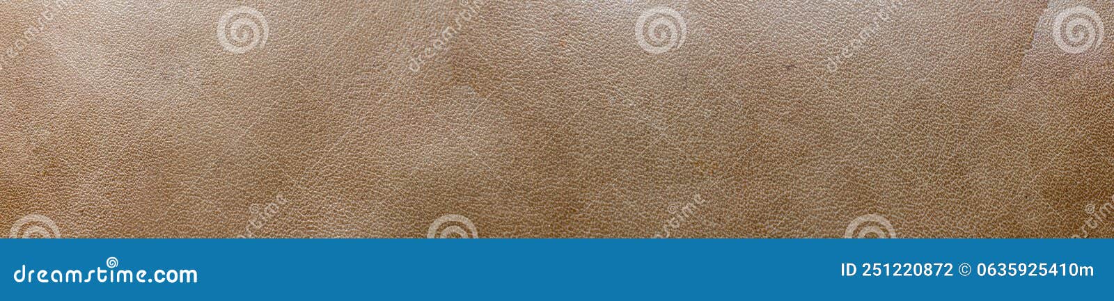 Skin surface texture stock photo. Image of detail, background - 251220872