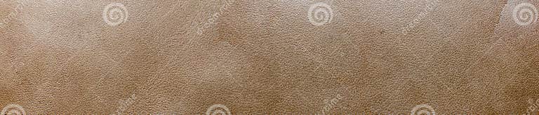 Skin surface texture stock photo. Image of detail, background - 251220872