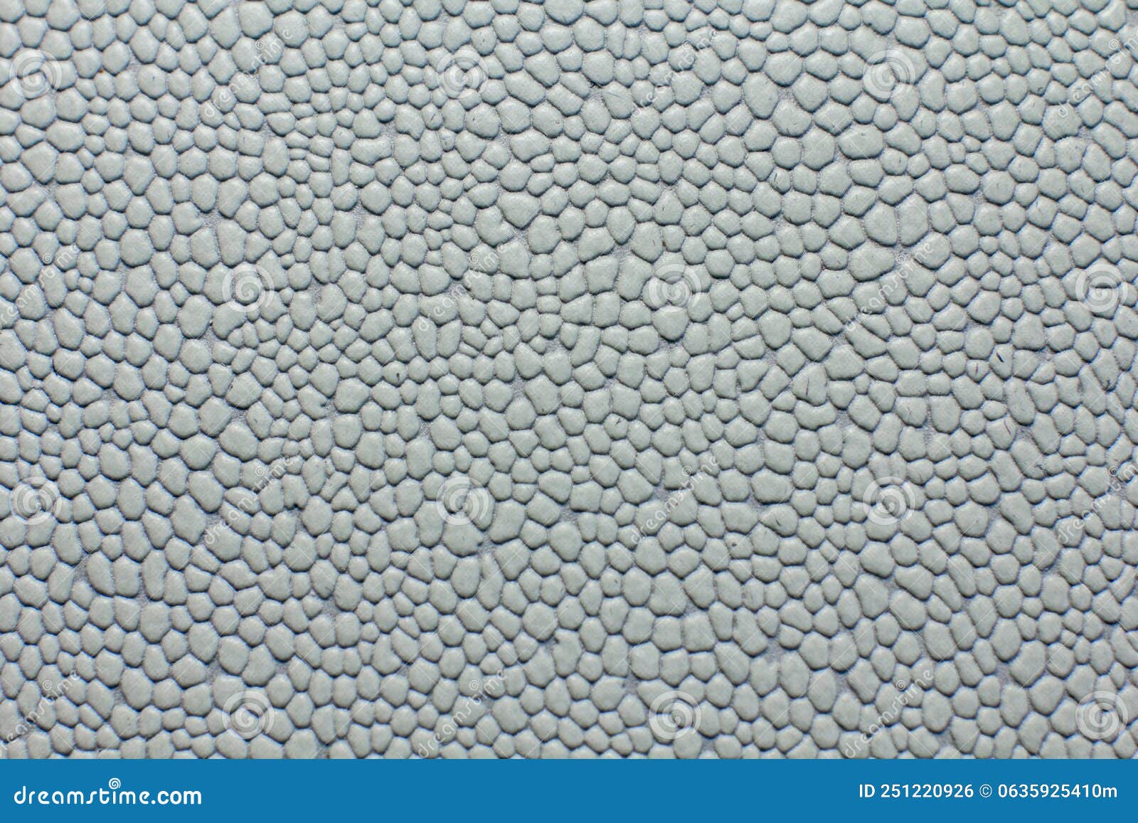 Skin surface texture stock photo. Image of animal, graphic - 251220926