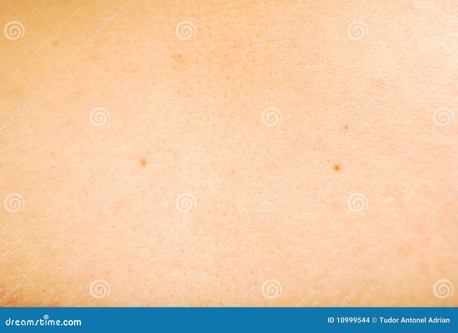 Skin Texture stock photo. Image of human, ultra, smooth - 10999544