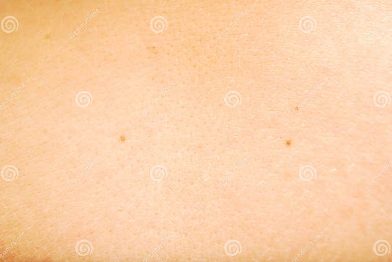 Skin Texture stock photo. Image of human, ultra, smooth - 10999544
