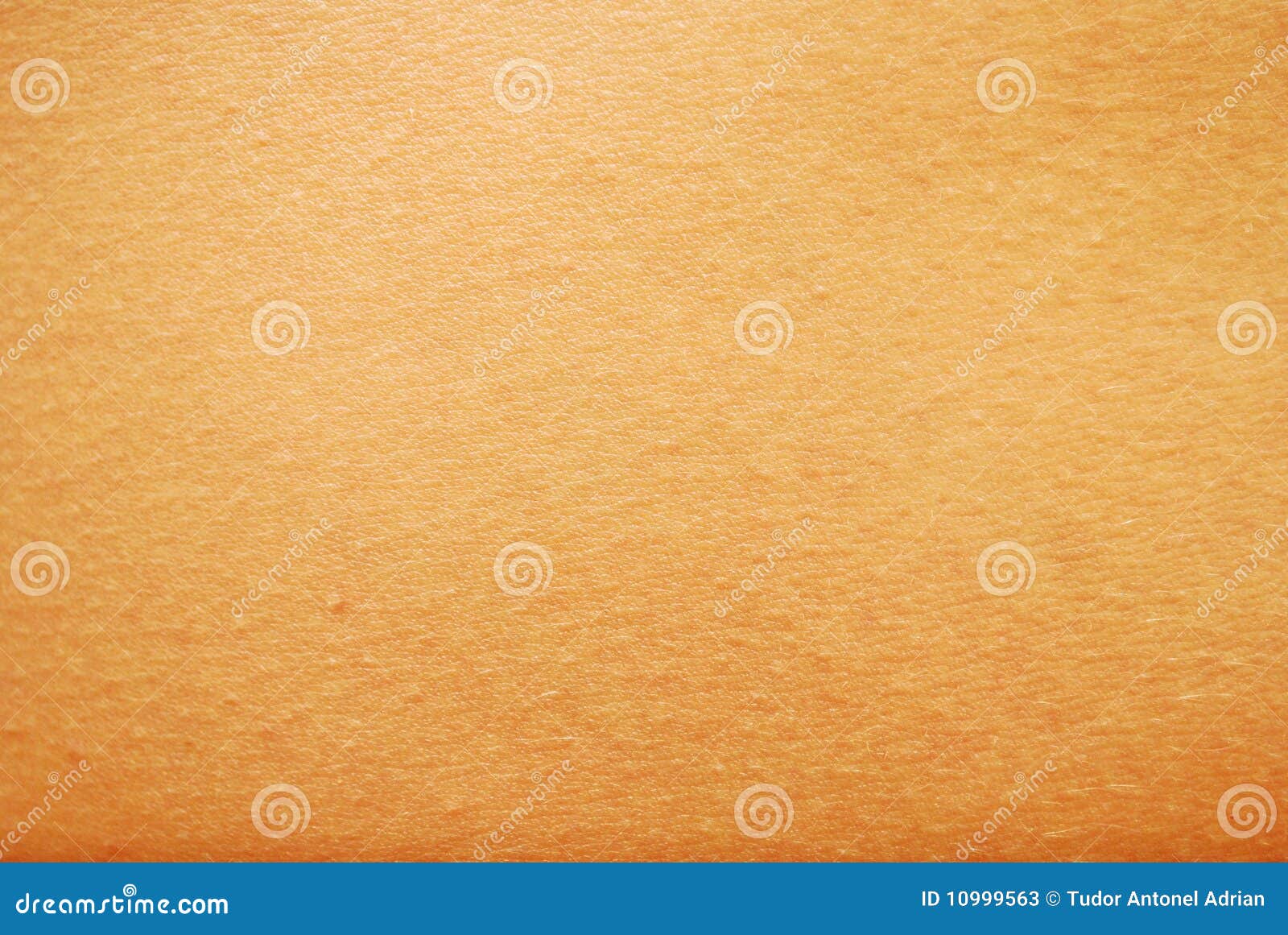Skin Texture stock image. Image of yellow, rough, texture - 10999563