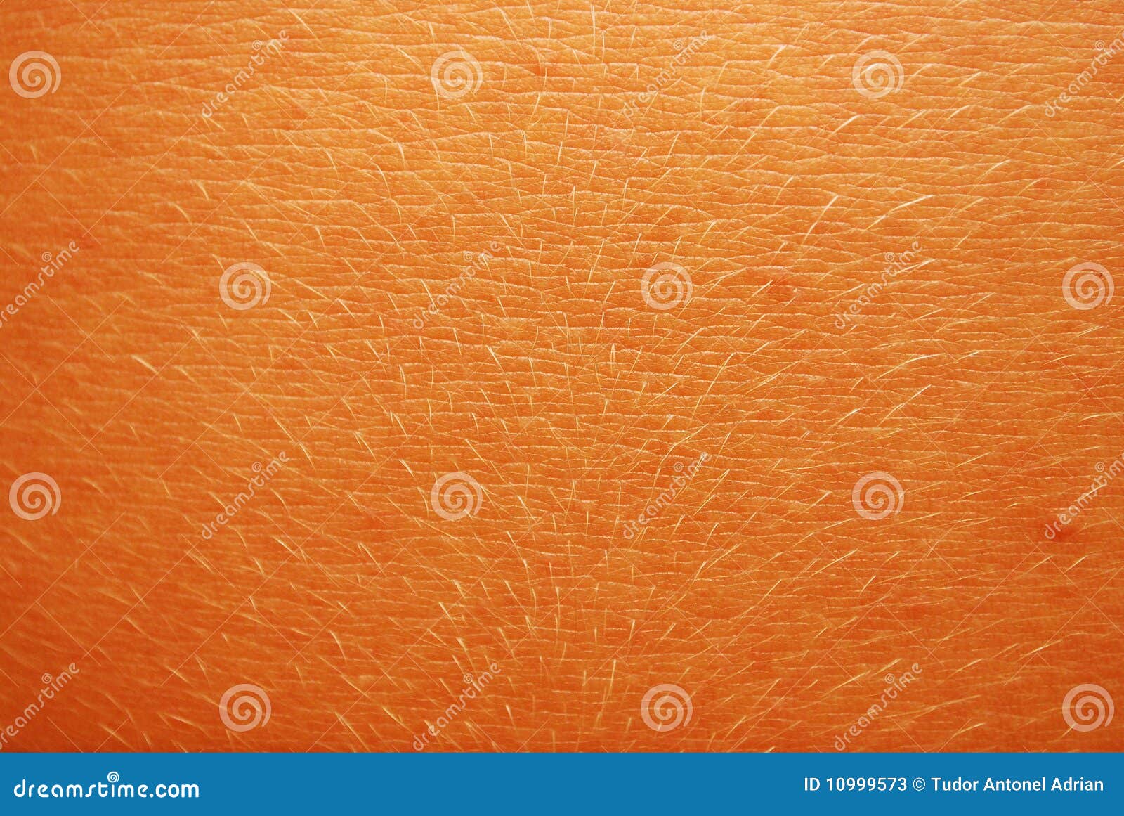 Skin Texture stock image. Image of closeup, rough, orange - 10999573
