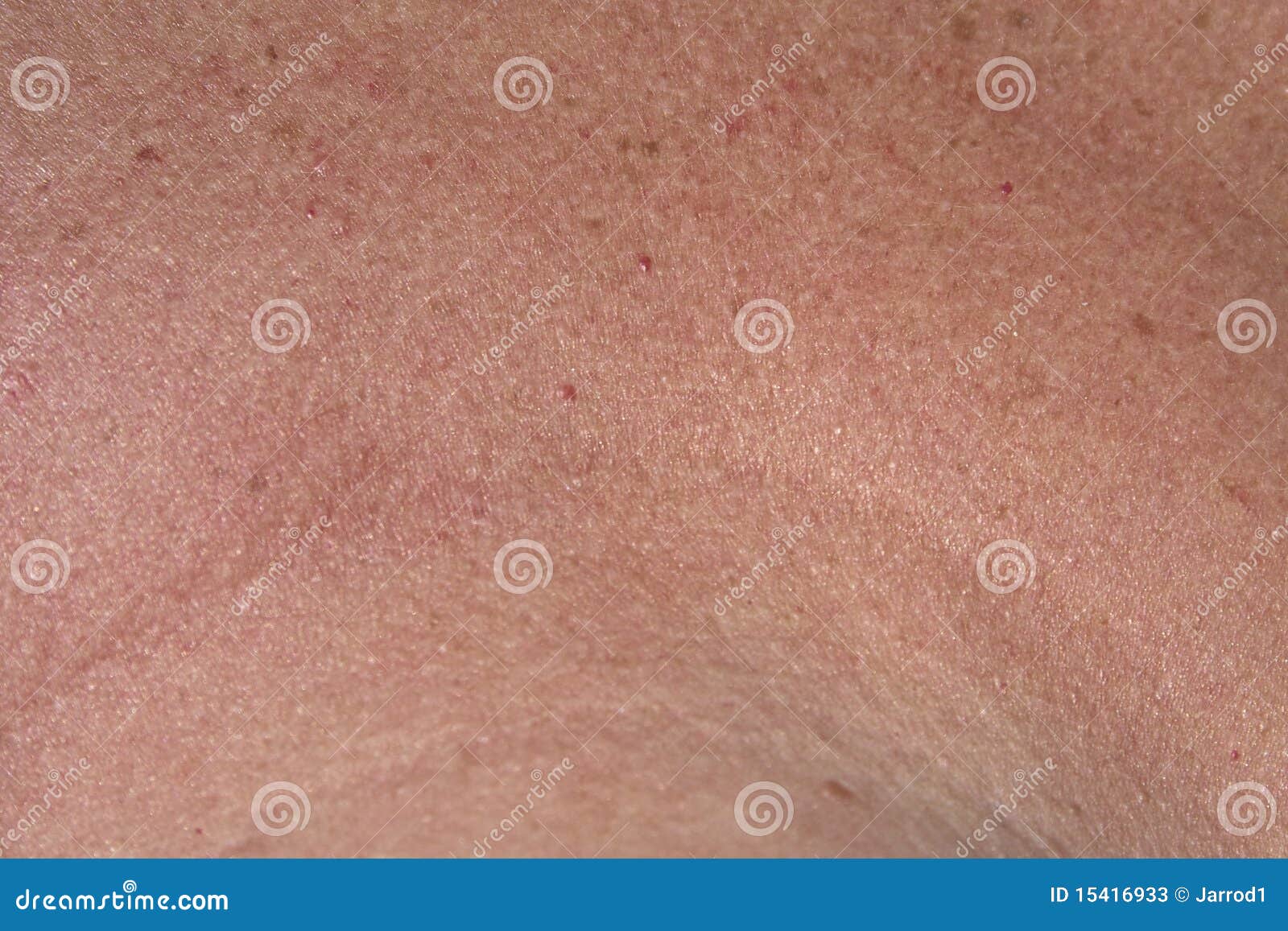Skin texture stock image. Image of body, texture, organ - 15416933