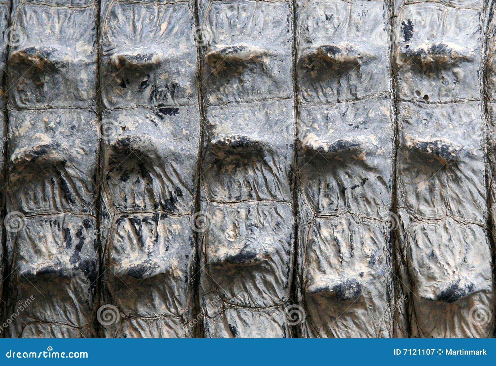 1,859 Miami Texture Photos - Free & Royalty-Free Stock Photos from ...