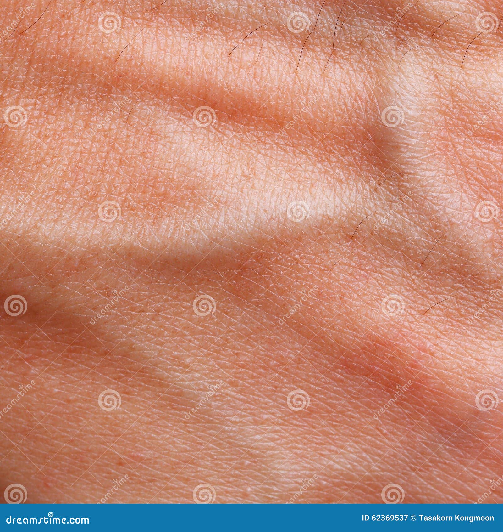 Skin Texture with Blood Vessel and Hair Stock Image - Image of care ...
