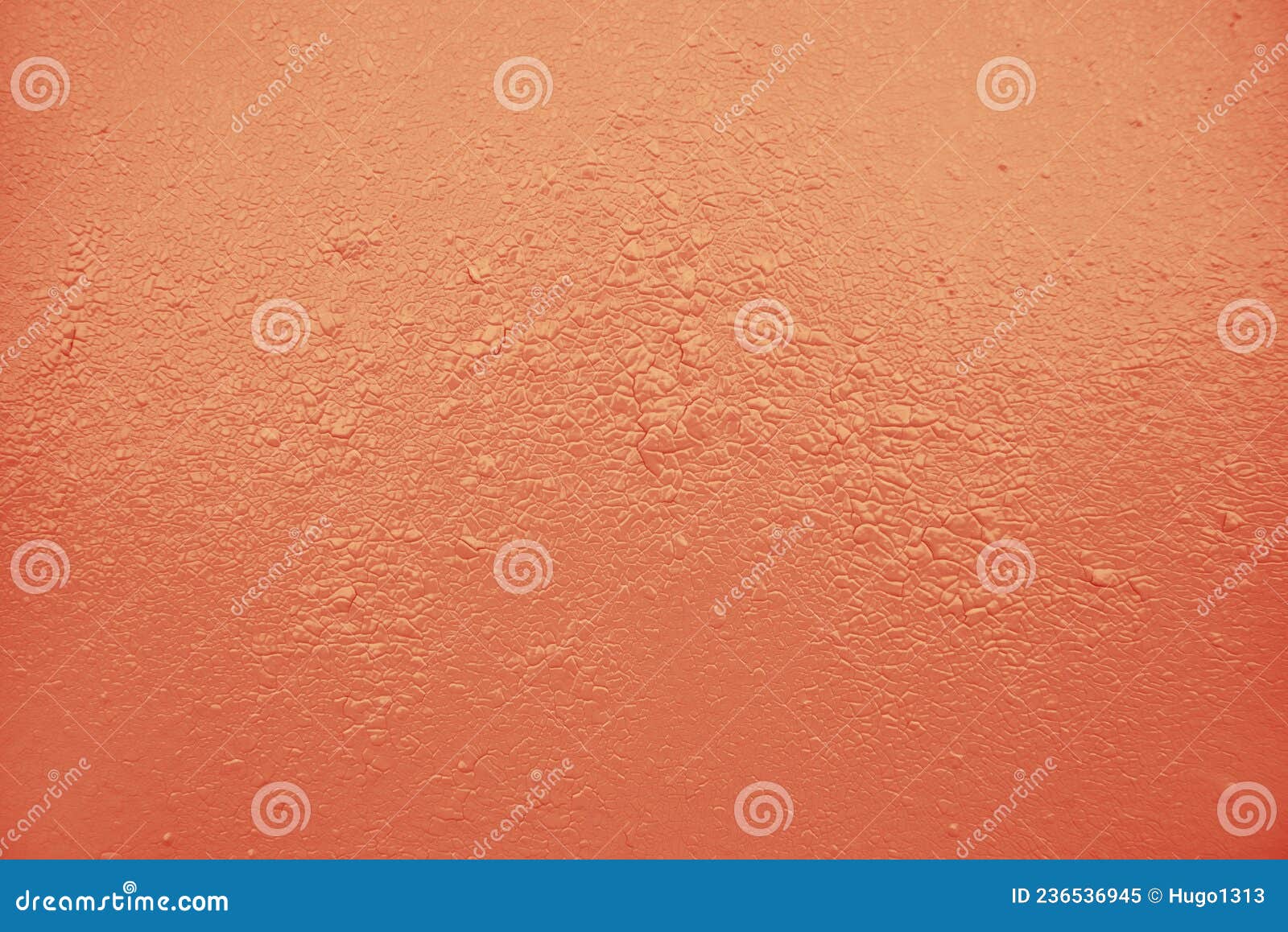 Skin Texture. Coral Background. Texture and Background. Stock Image ...