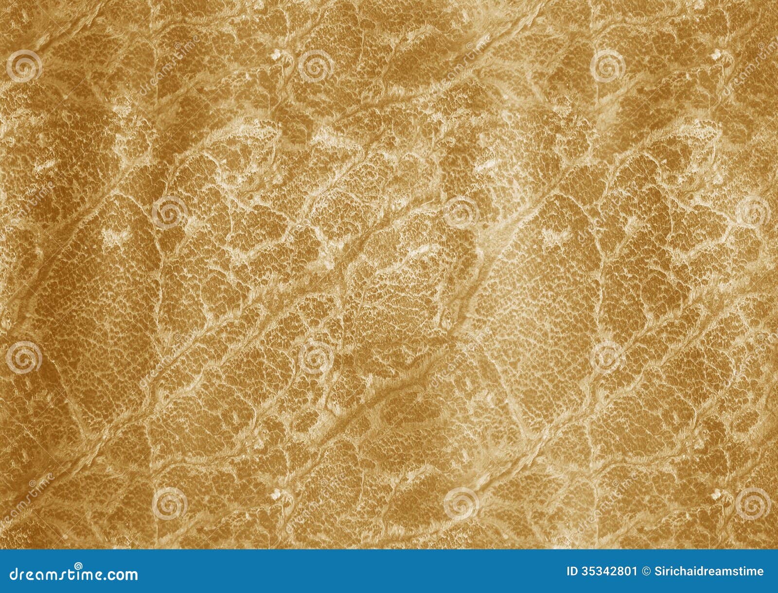 SKIN TEXTURE stock illustration. Illustration of medicine - 35342801