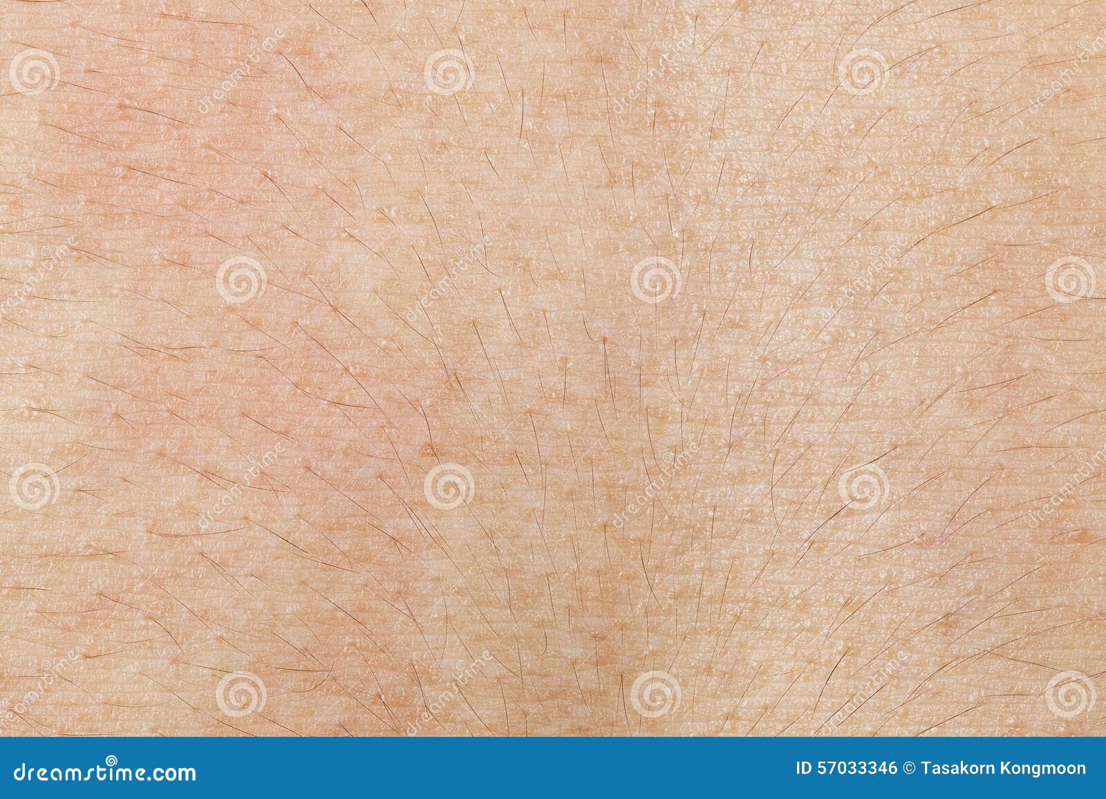 Skin Texture with Hair for Pattern Stock Photo - Image of integument ...