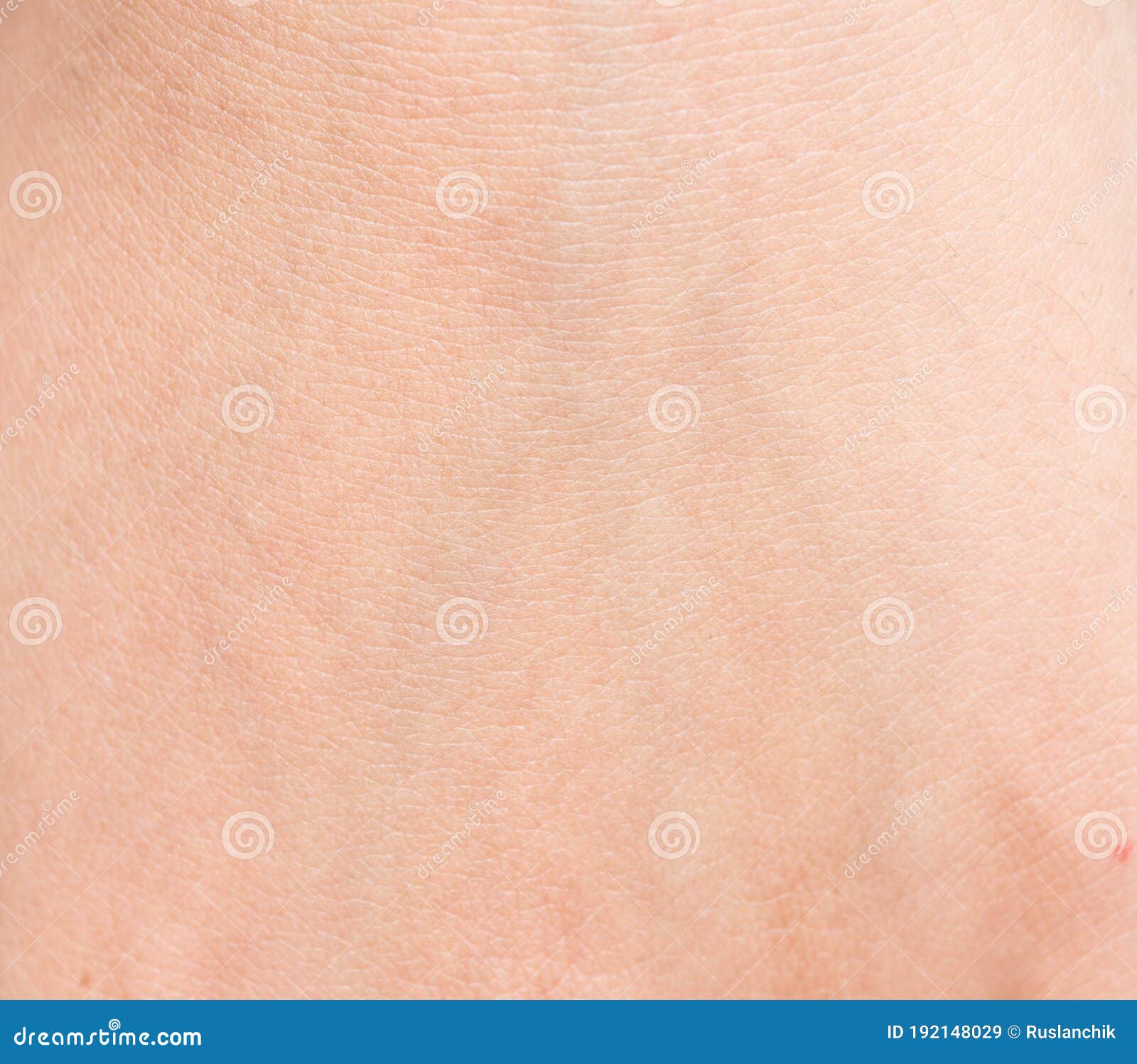 Skin texture stock image. Image of healthy, medical - 192148029