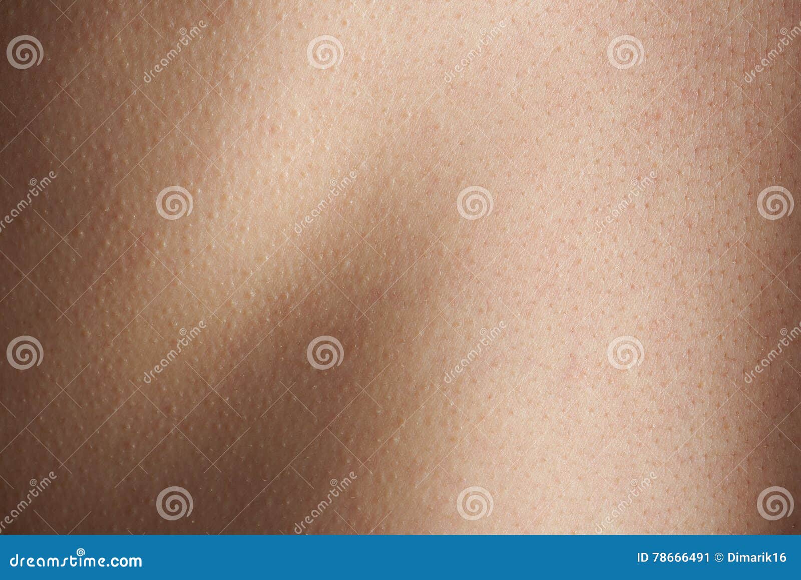 Skin texture on human back stock image. Image of health - 78666491