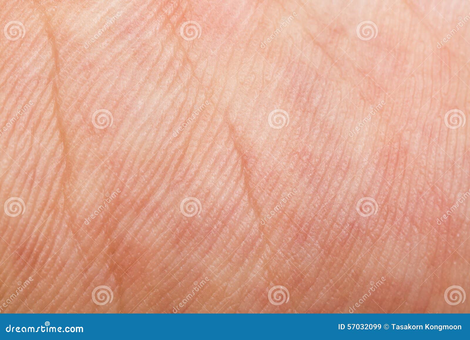 Skin texture for pattern stock image. Image of abstract - 57032099