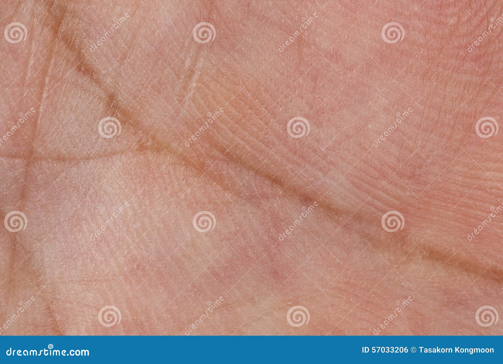 Skin texture for pattern stock photo. Image of lines - 57033206