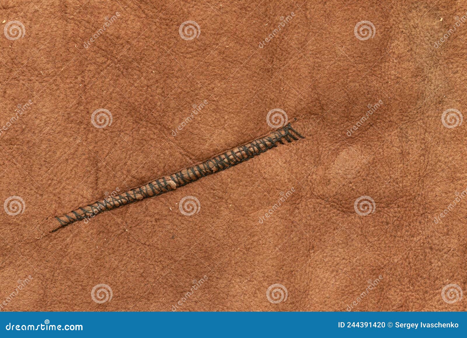 Skin texture. stock photo. Image of retro, lamb, dirty - 244391420