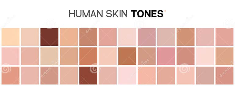 Skin Tone Color Chart Human Skin Texture Color Infographic Palette