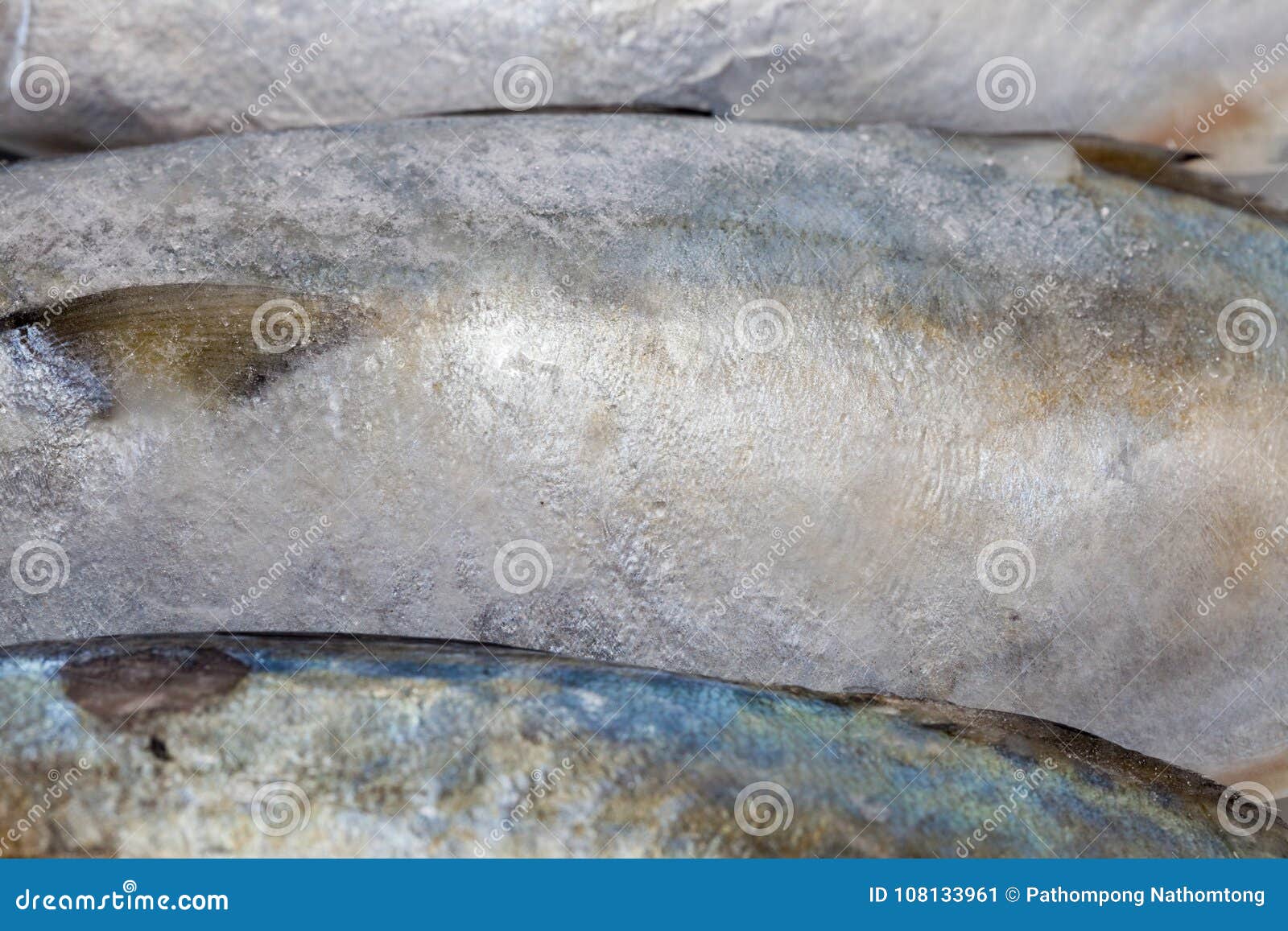 Skin of tuna fish stock image. Image of delicious, natural - 108133961