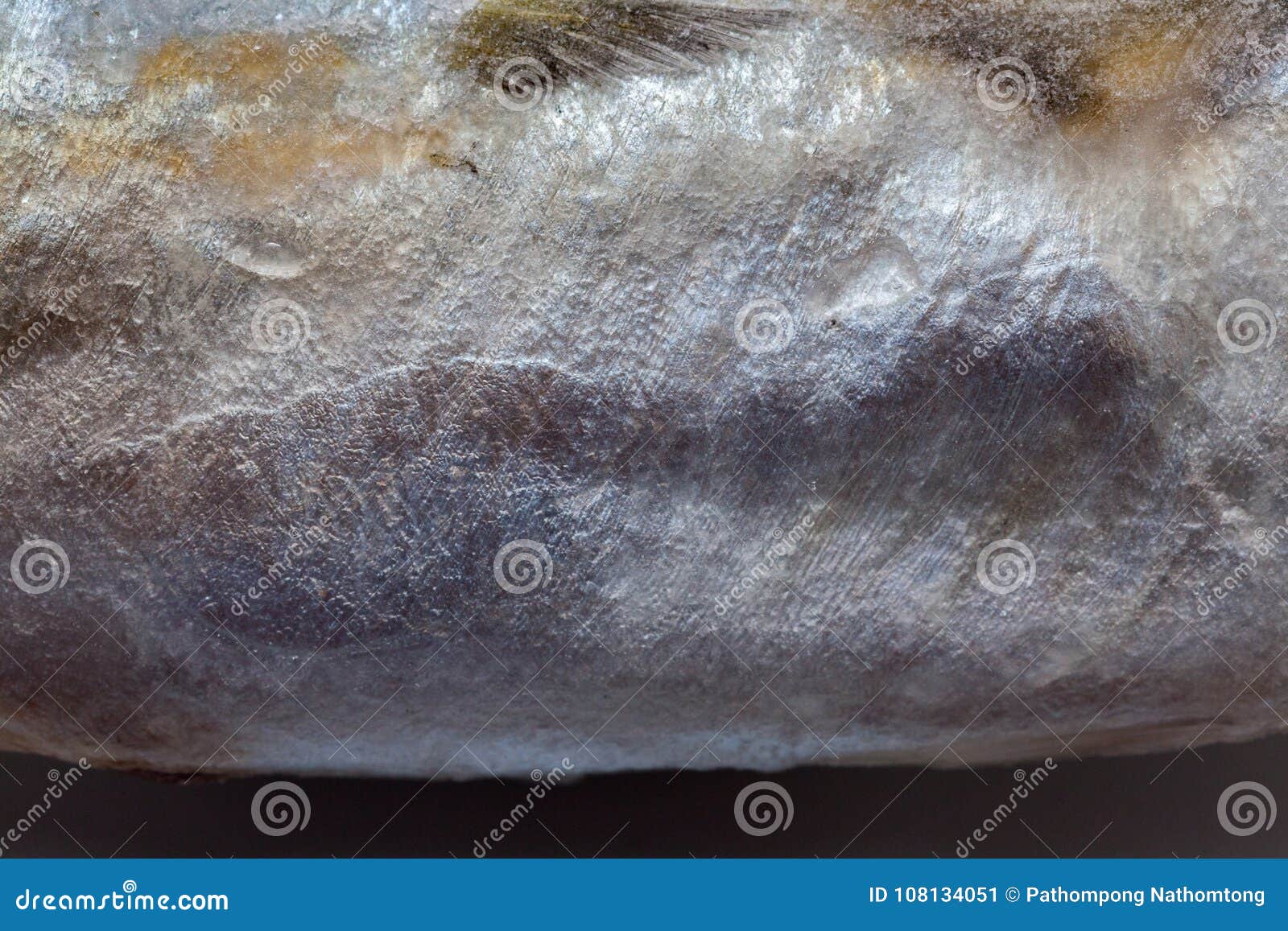 Skin of tuna fish stock image. Image of fishing, objects - 108134051