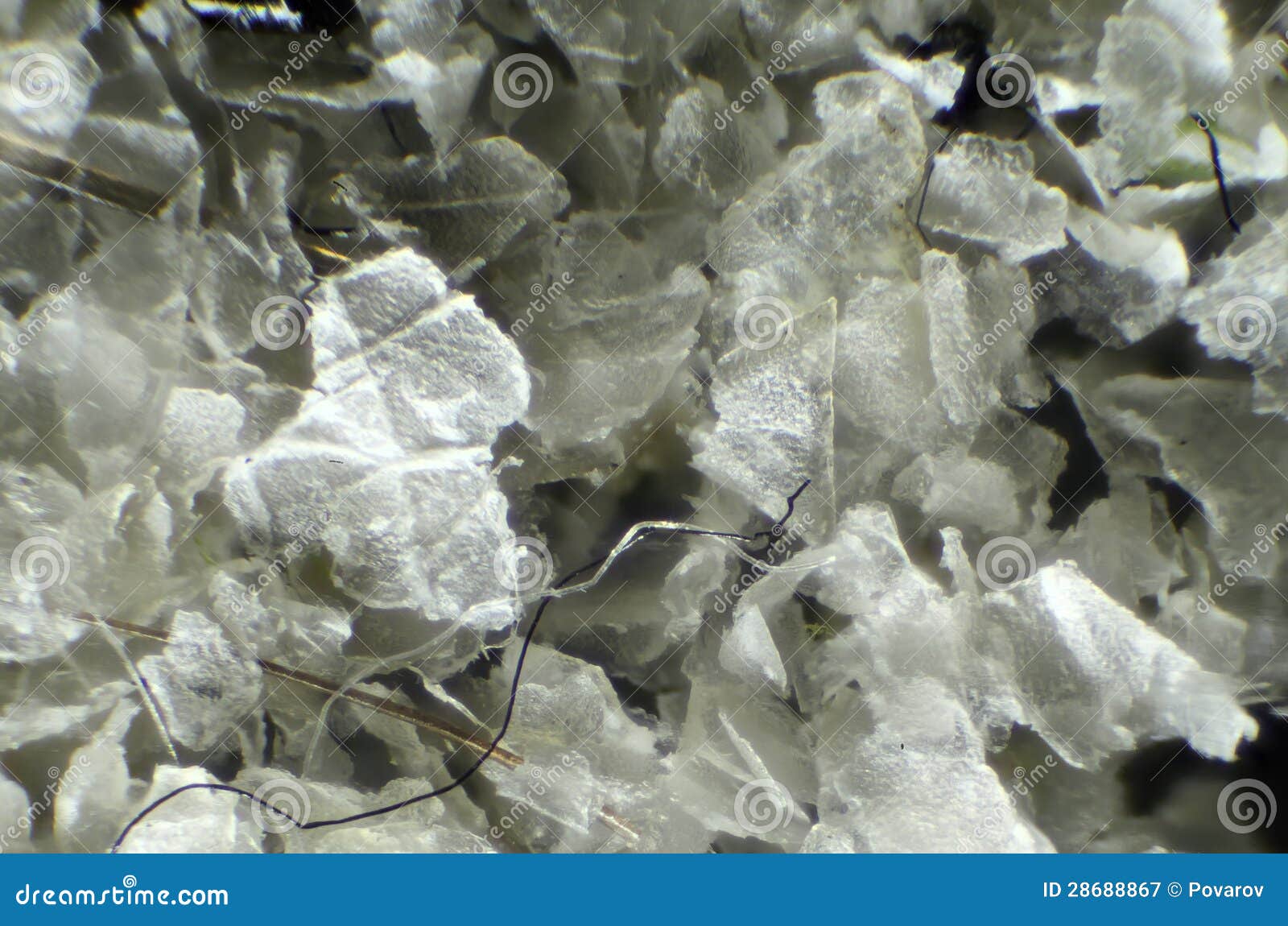 Skin under the microscope stock image. Image of texture - 28688867