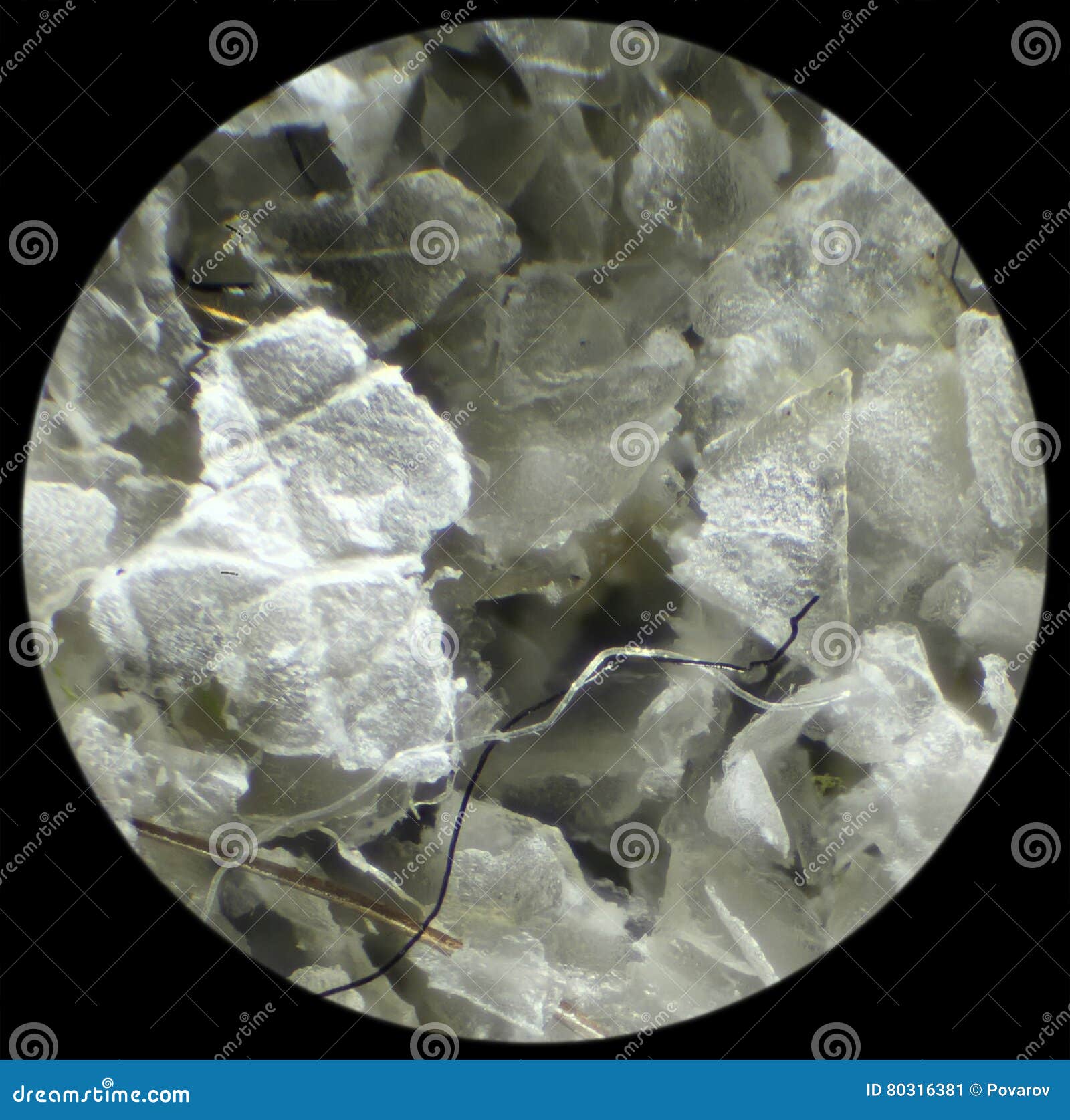 Skin Under the Microscope, Background Stock Image - Image of people ...