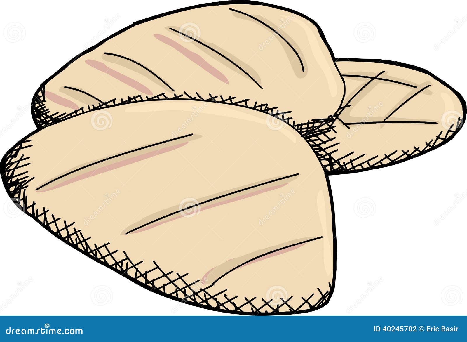 Skinless Chicken stock vector. Illustration of ingredient - 40245702