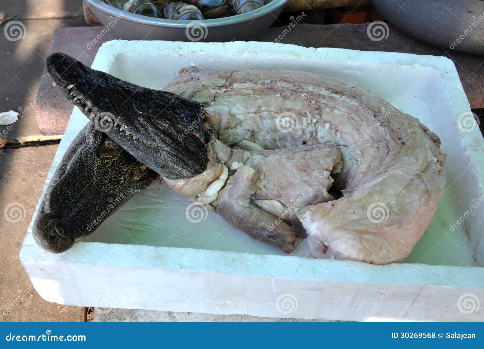 Skinned Crocodile Prepared for Barbecuing Stock Photo - Image of ...