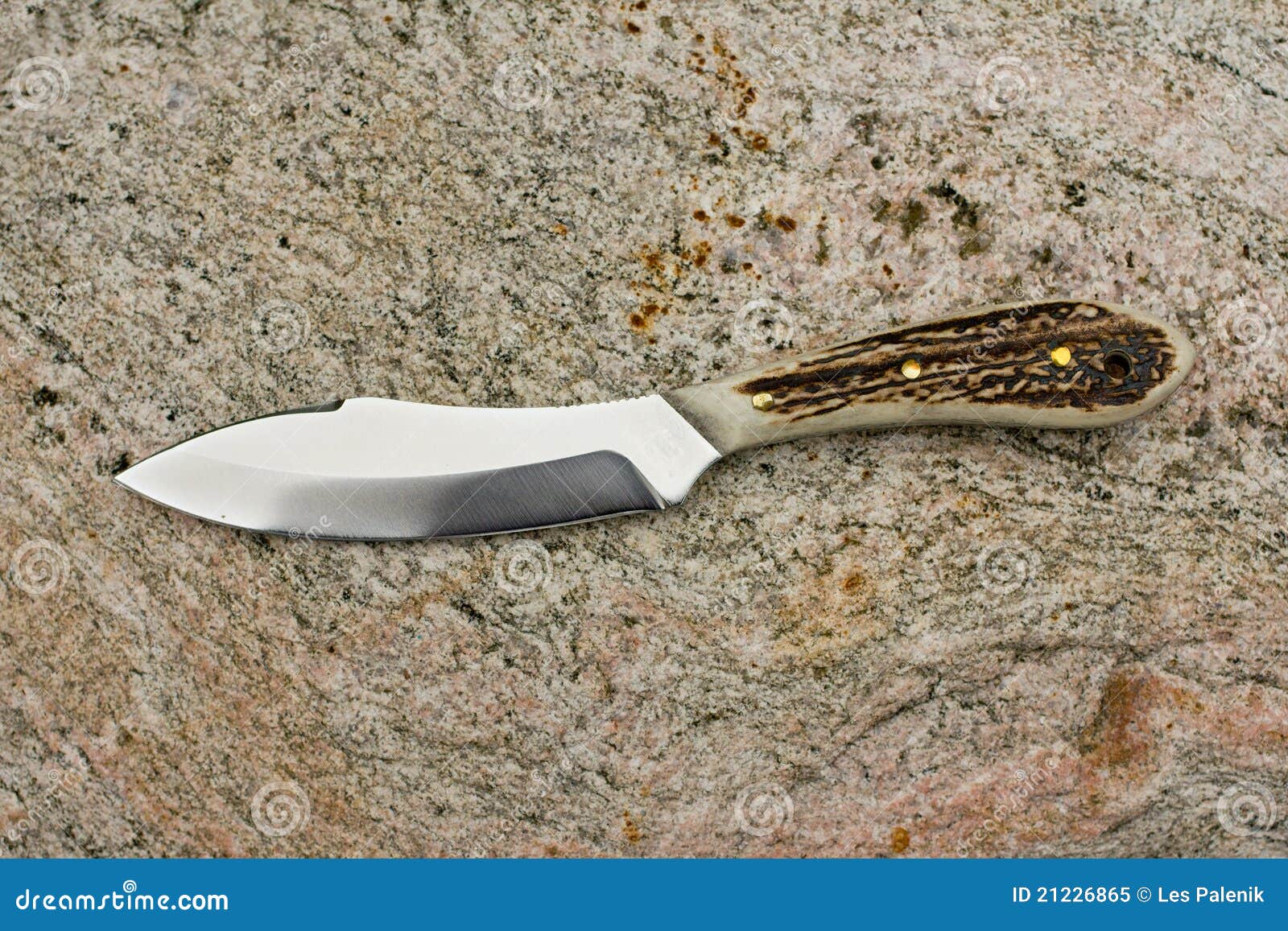 Skinning / hunting knife stock image. Image of handle - 21226865