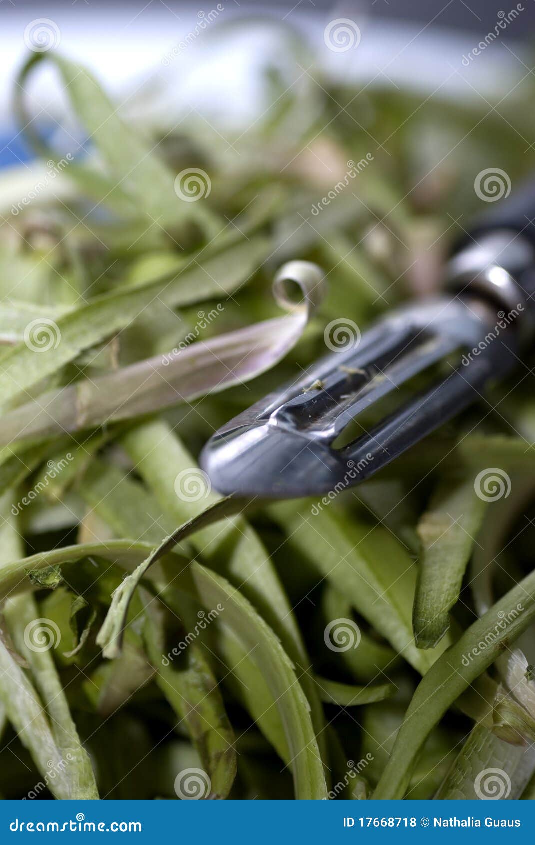 Skins of vegetables stock photo. Image of vegetables - 17668718