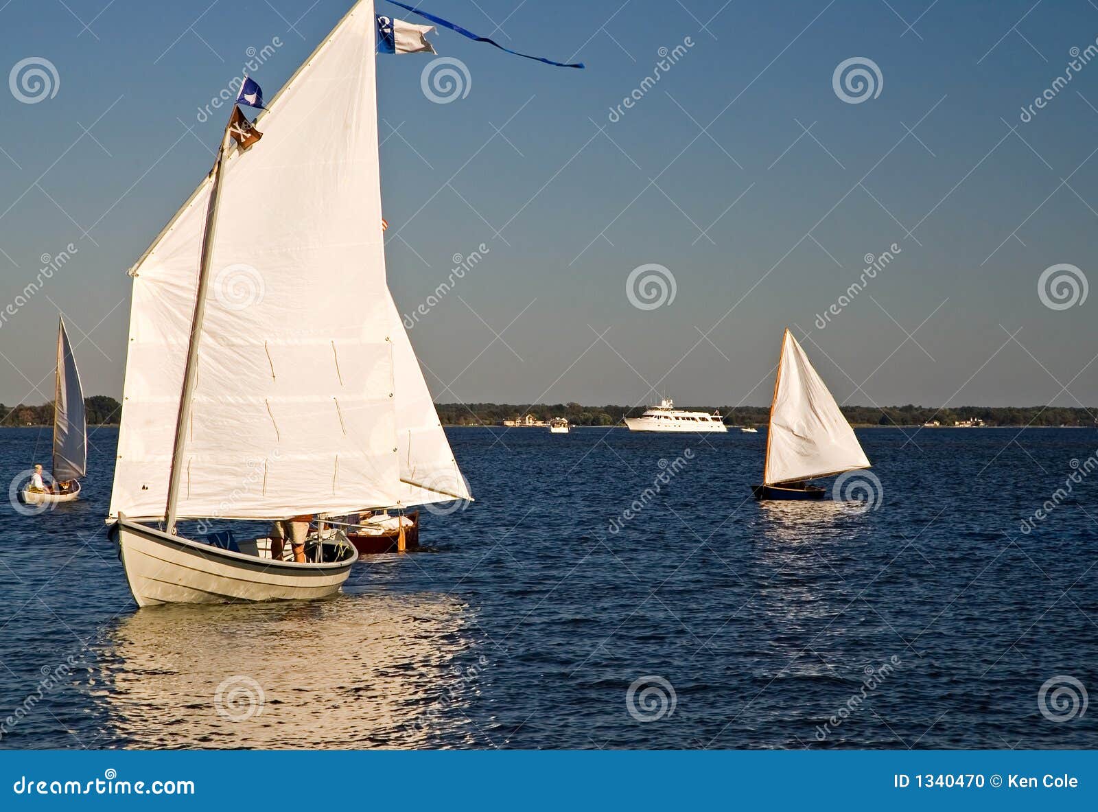 Skipjack Sailing on the Chesapeake Bay Stock Photo - Image of harvest ...
