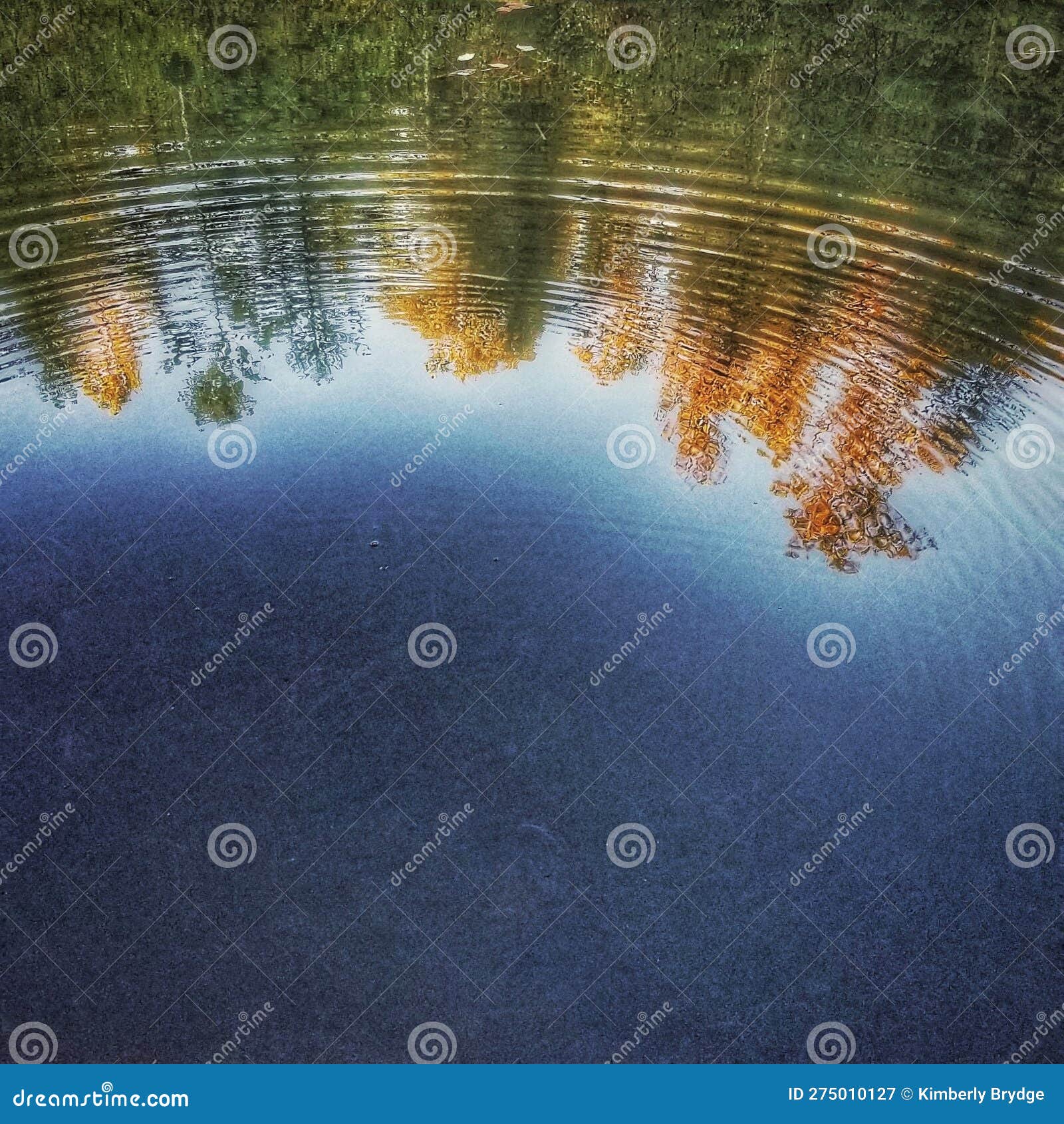 Skipping a River Rock To Make Ripples Stock Image - Image of reflection ...