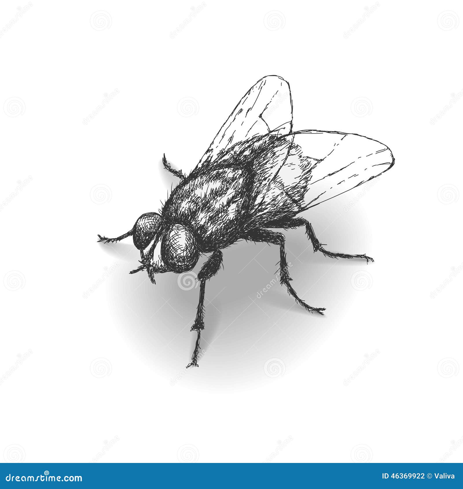 Skissa flugan vektor illustrationer. Illustration av idérikt - 46369922