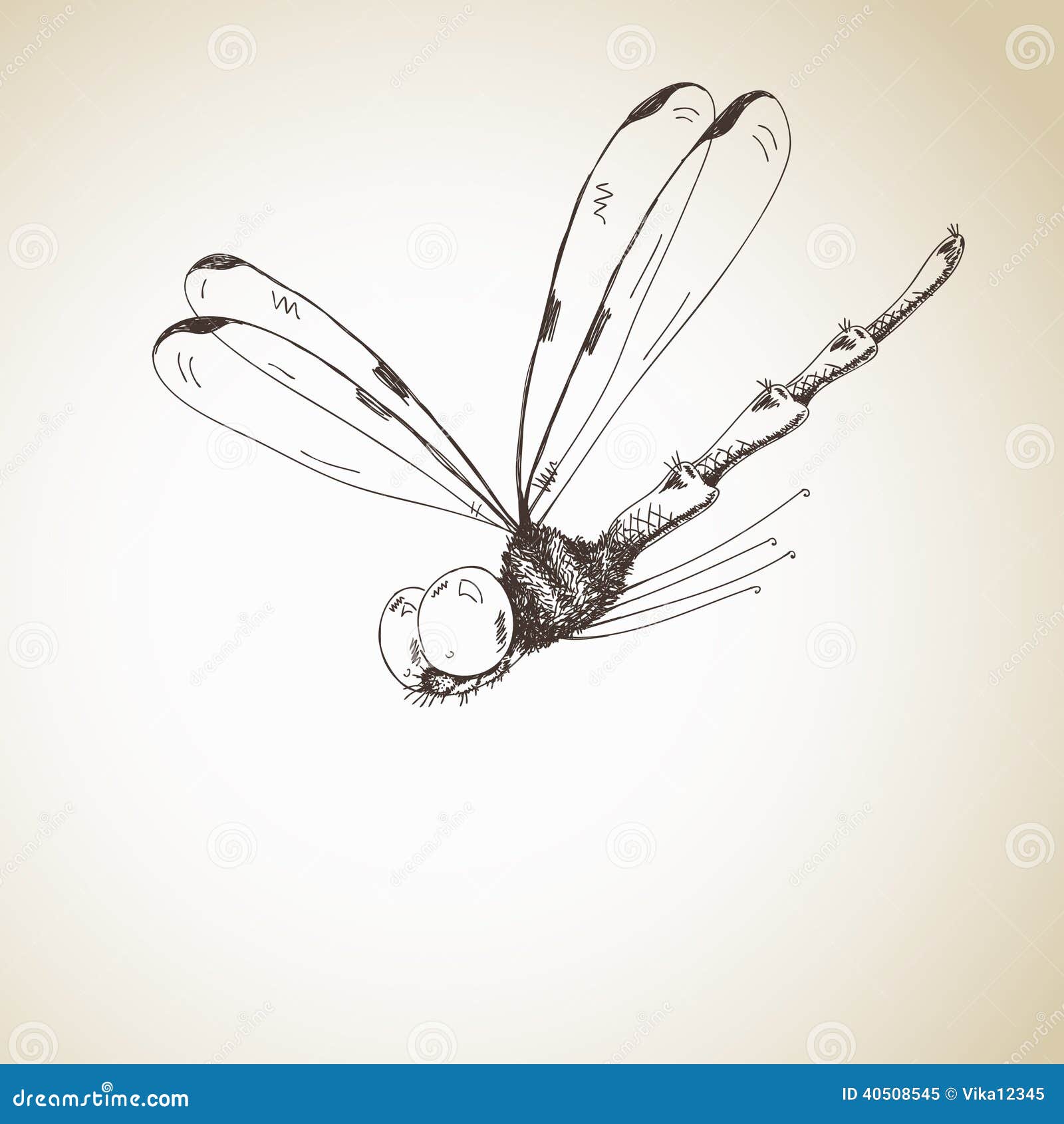 Skizze der Libelle vektor abbildung. Illustration von gestaltungsarbeit ...