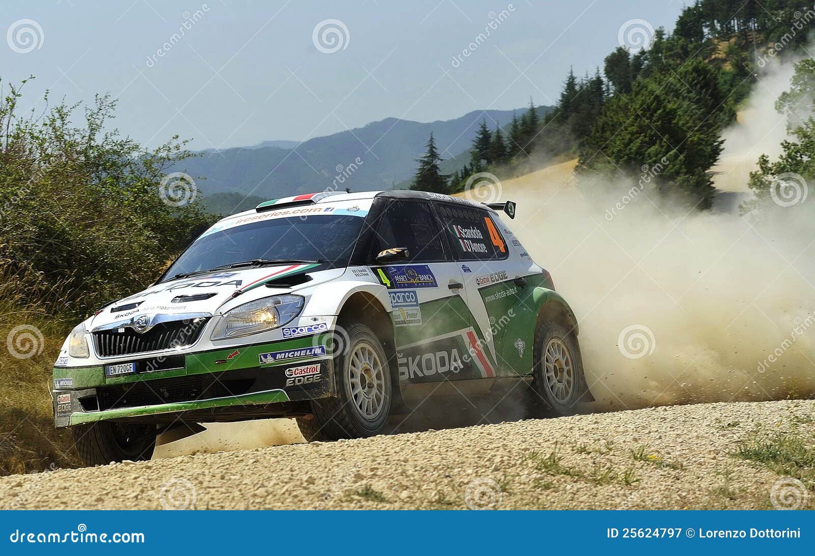 Skoda Fabia WRC editorial photography. Image of technology - 25624797