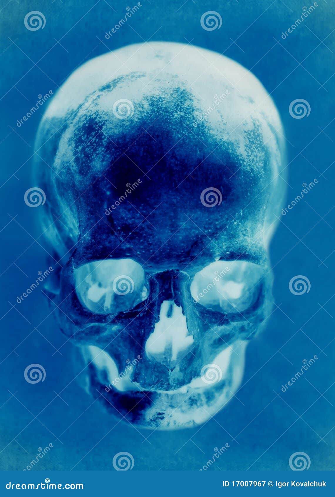 Skull stock image. Image of face, closeup, dark, blue - 17007967
